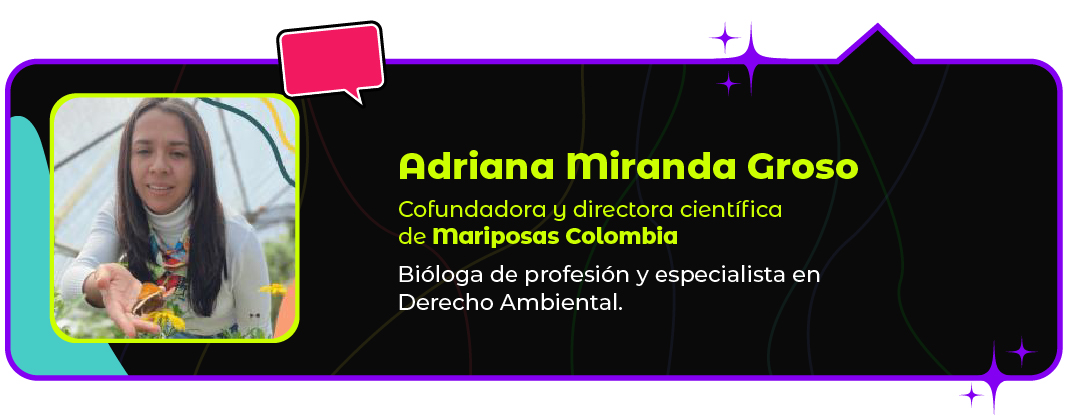 15 años del Programa de Marketing - Pregrados y Posgrados en Bogotá